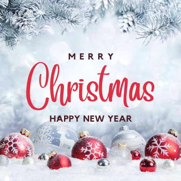 News - Official Bee Gees Fan Club - GSI